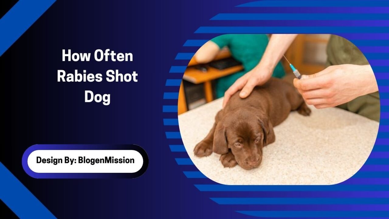 How Often Rabies Shot Dog - Guide for Pet Owners!